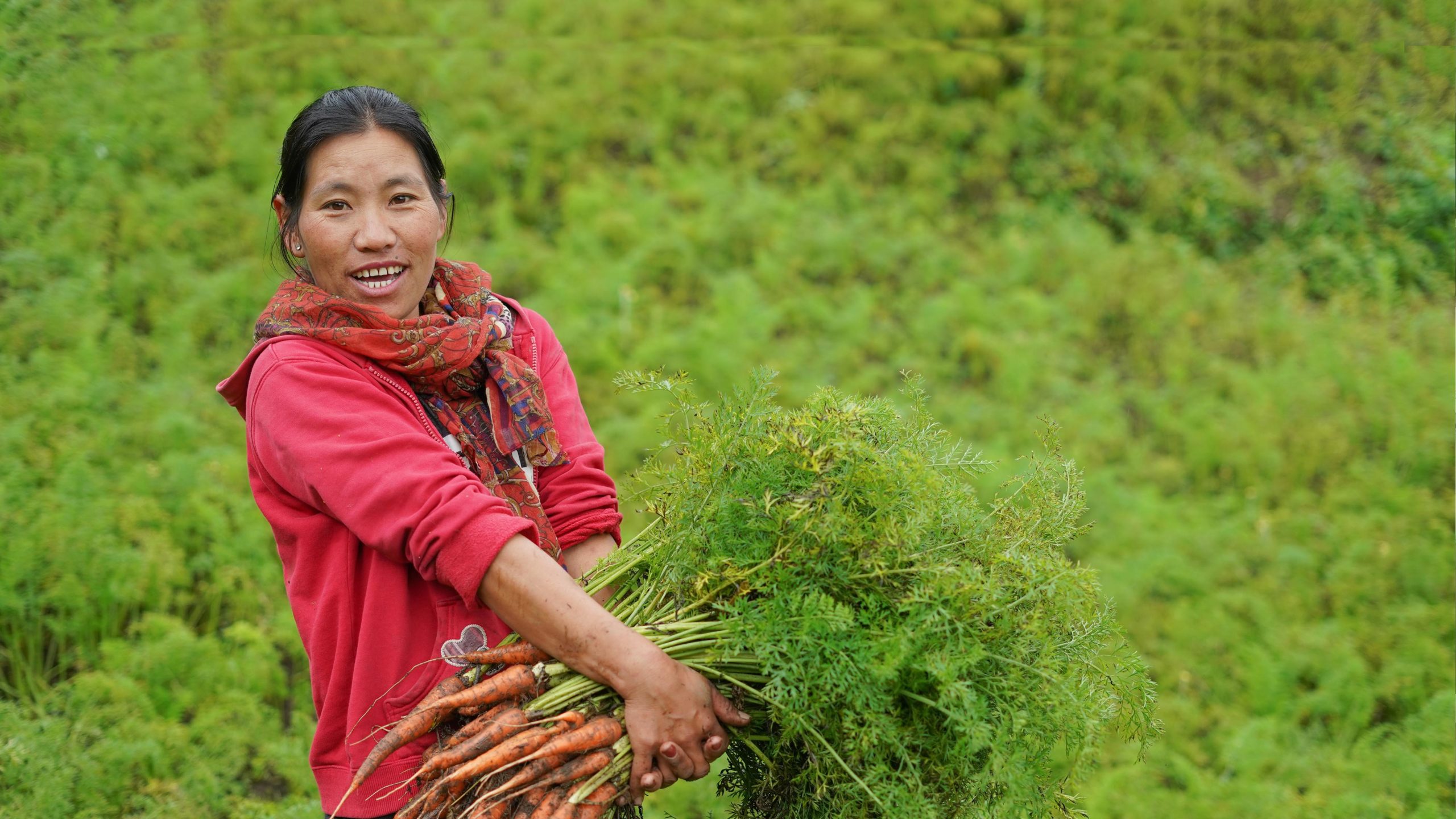 NEIDA – NORTHEAST INITIATIVE DEVELOPMENT AGENCY